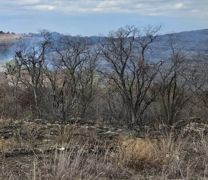 Sugar Fire covers 1,500 acres in Mark Twain National Forest | Joplin ...