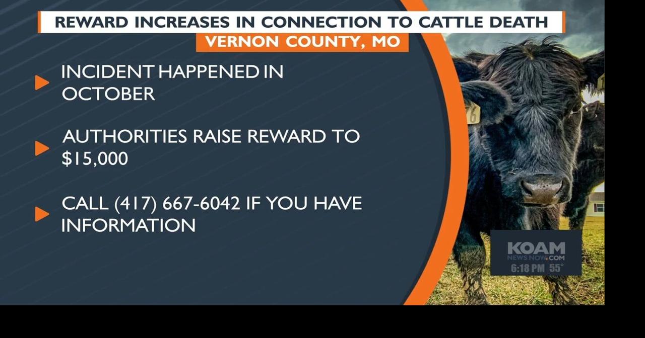 Reward increases in connection to cattle death | Video | koamnewsnow.com