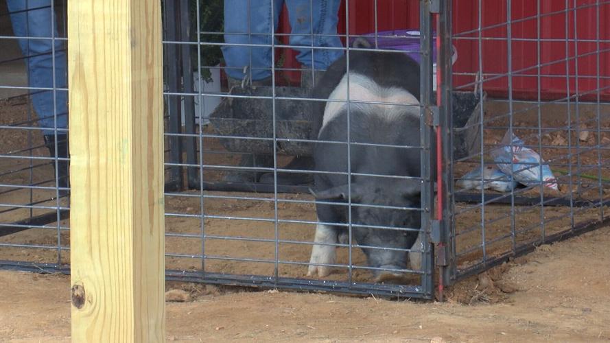 Carl Junction opens new student farm and research center | Top Stories ...