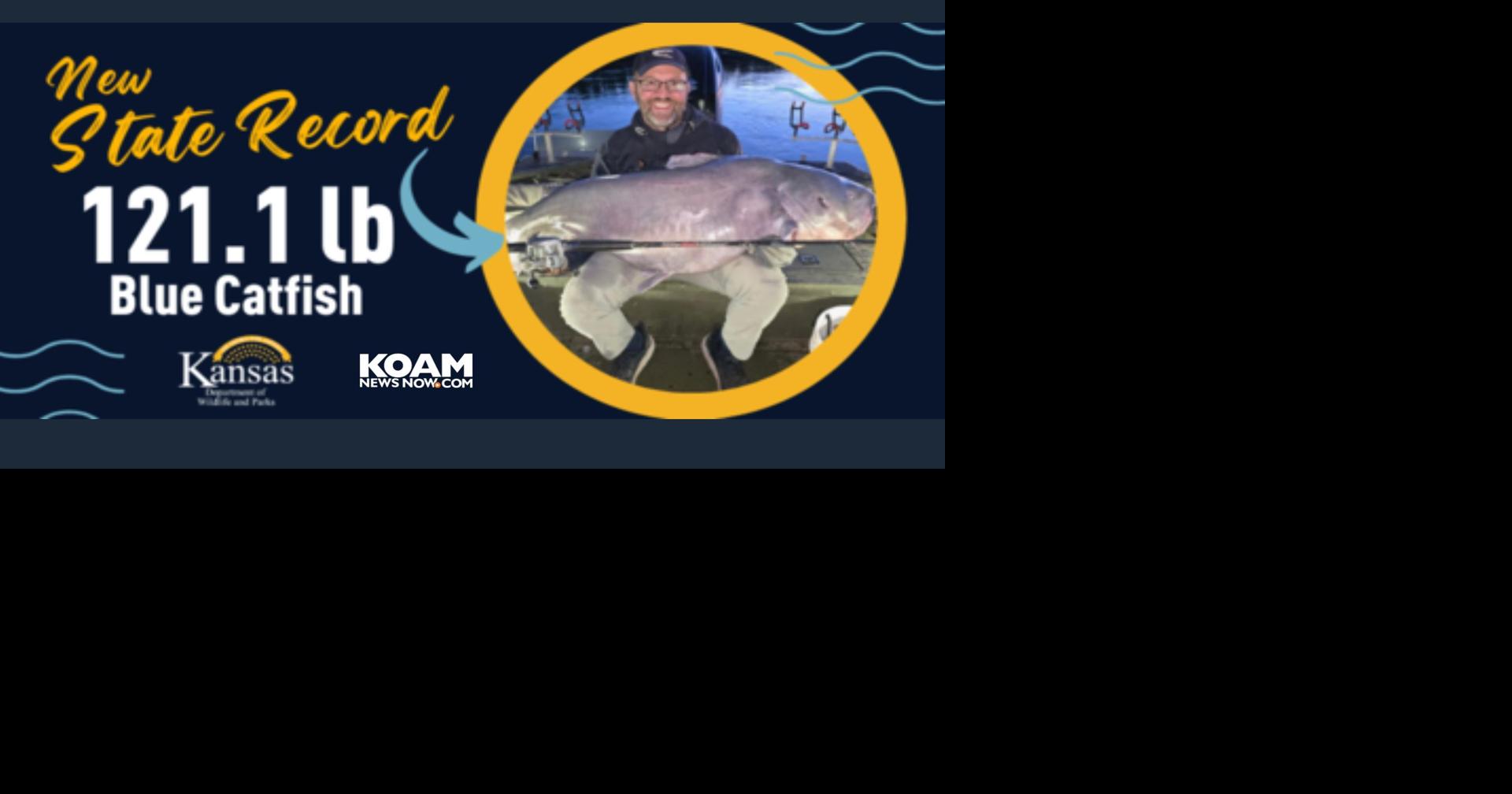 record blue catfish caught