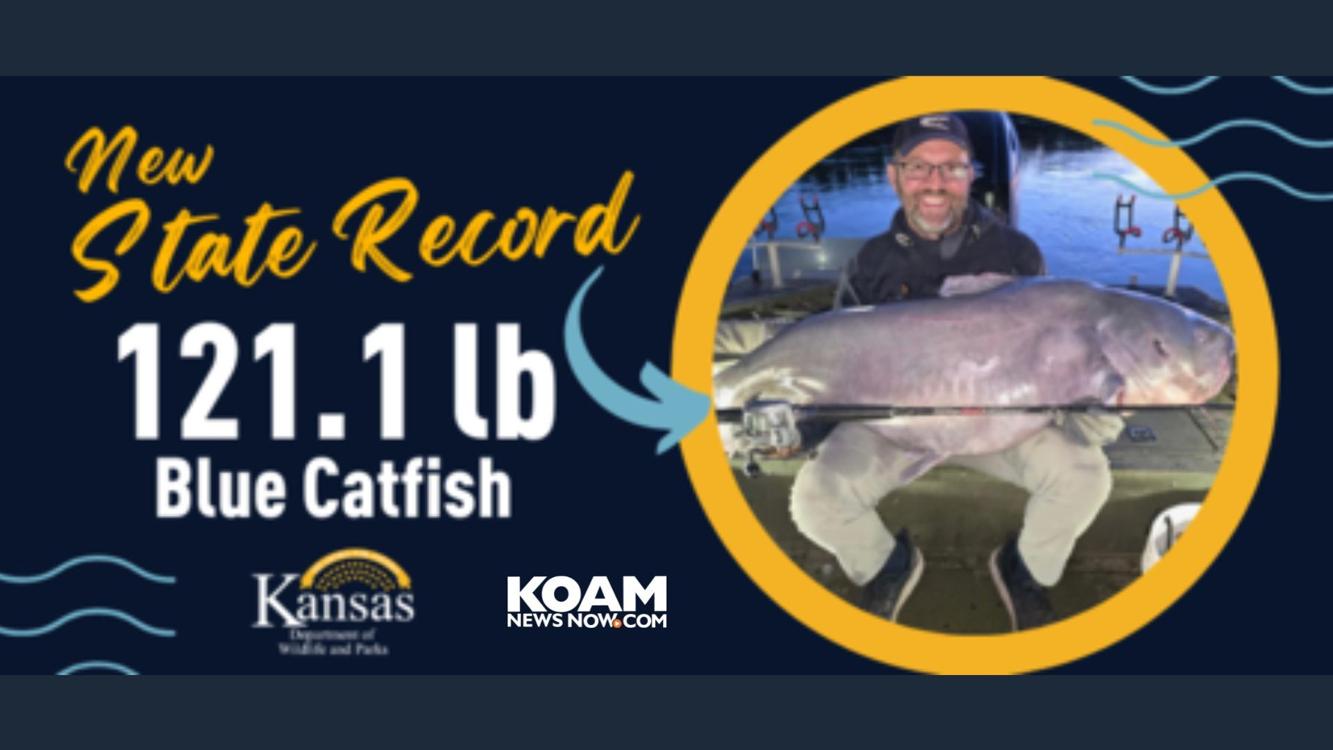 MO man catches 121.1lb blue catfish, sets Kansas state record ...