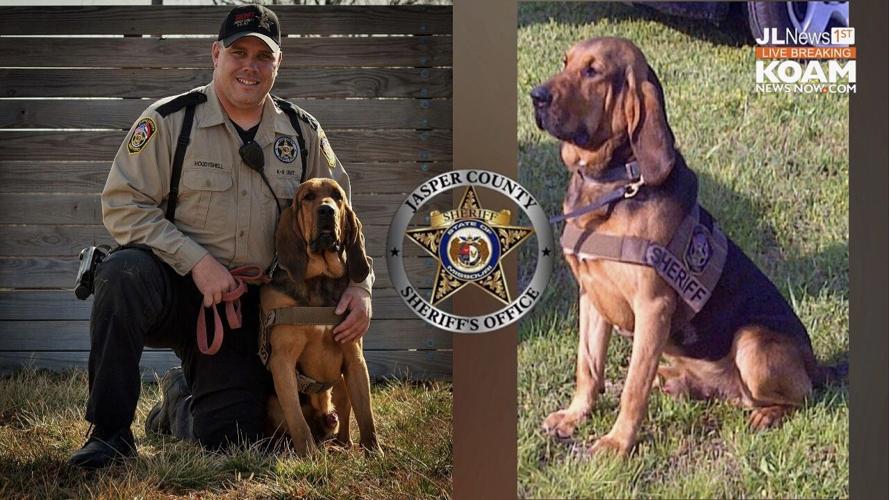 K9 Copper passes away; Jasper County Bloodhound Team is now a memory ...