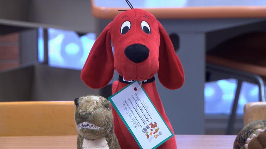 Miami Library host their first Stuffed Animal Sleepover | Local News ...
