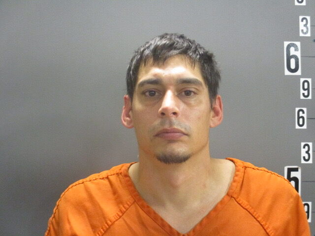 Felony Assault with a weapon, Avilla man charged six Felonies in court ...