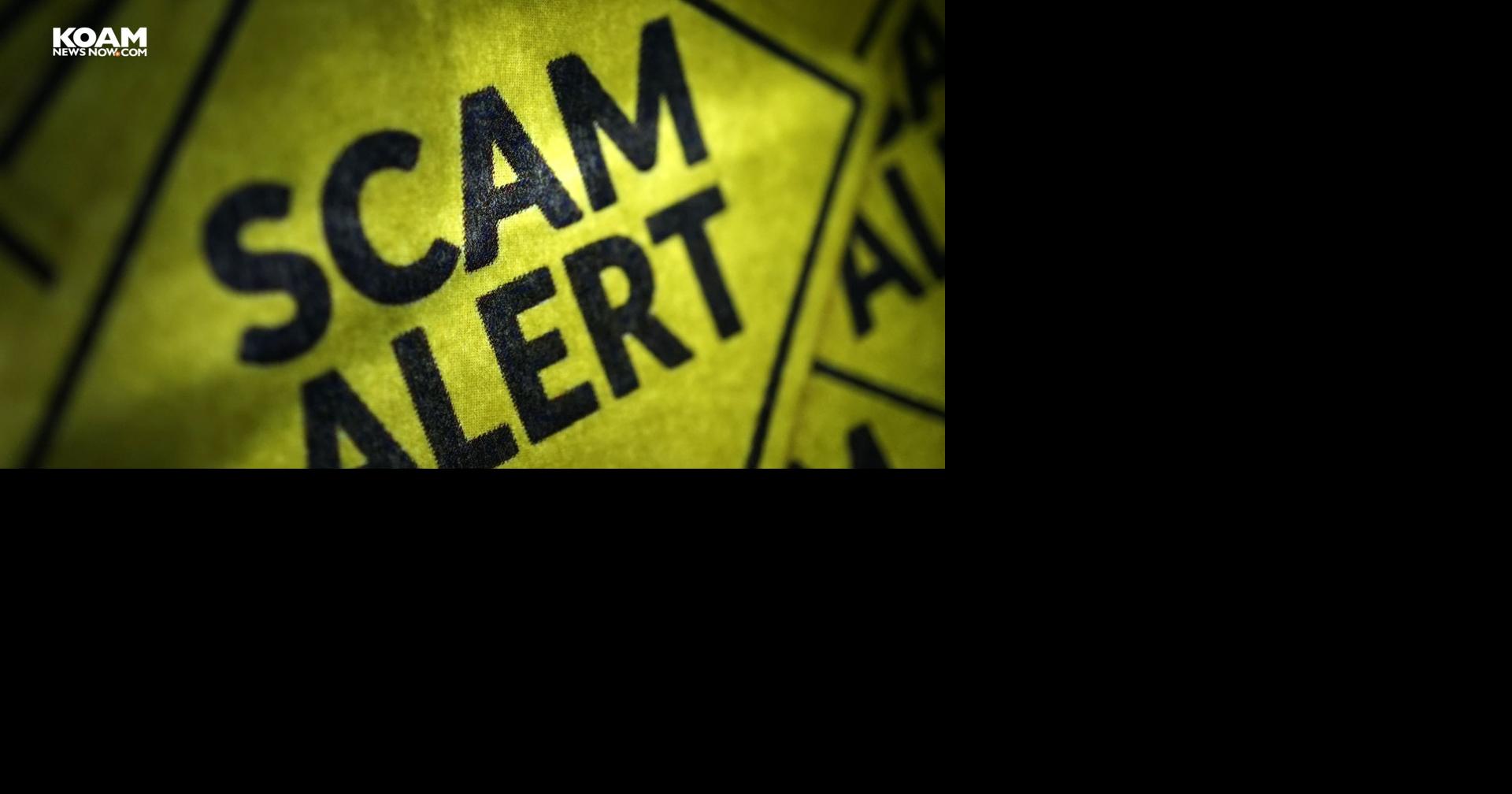 BBB: Consumers warned of Direct Sea Box shipping container scam | Local ...