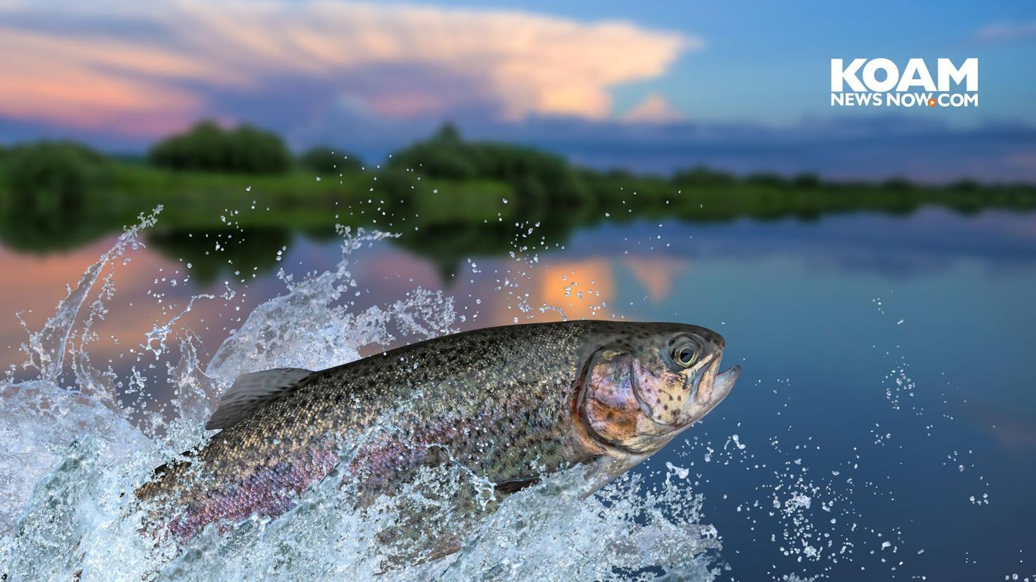 Kansas announces Free Fishing, State Park Entrance Days | Kansas News ...
