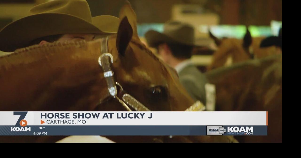 Carthage horse show highlights trainers of all skill levels | Local ...