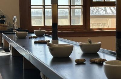 Carver Lab demonstrates peanut experiments with 20th-century technology ...