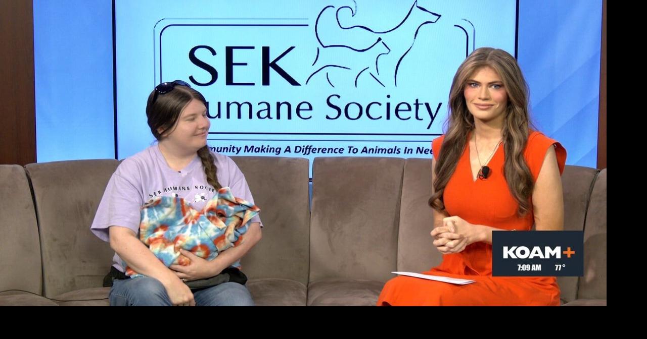 Jasmine Kyle stops by to share how you can participate in the Clear the ...
