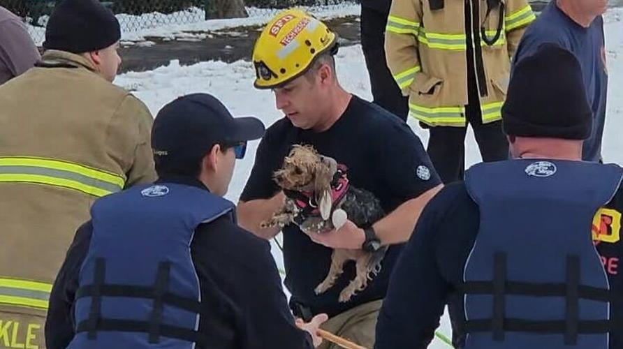 Woman and her dog fall through ice on pond, Water Rescue Team perform ...