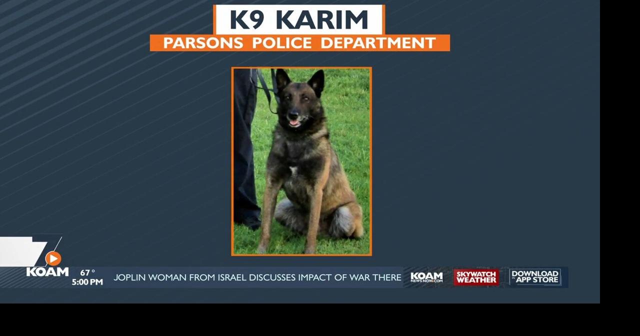 Extreme heat led to K9 Karim's death, charges requested against officer ...