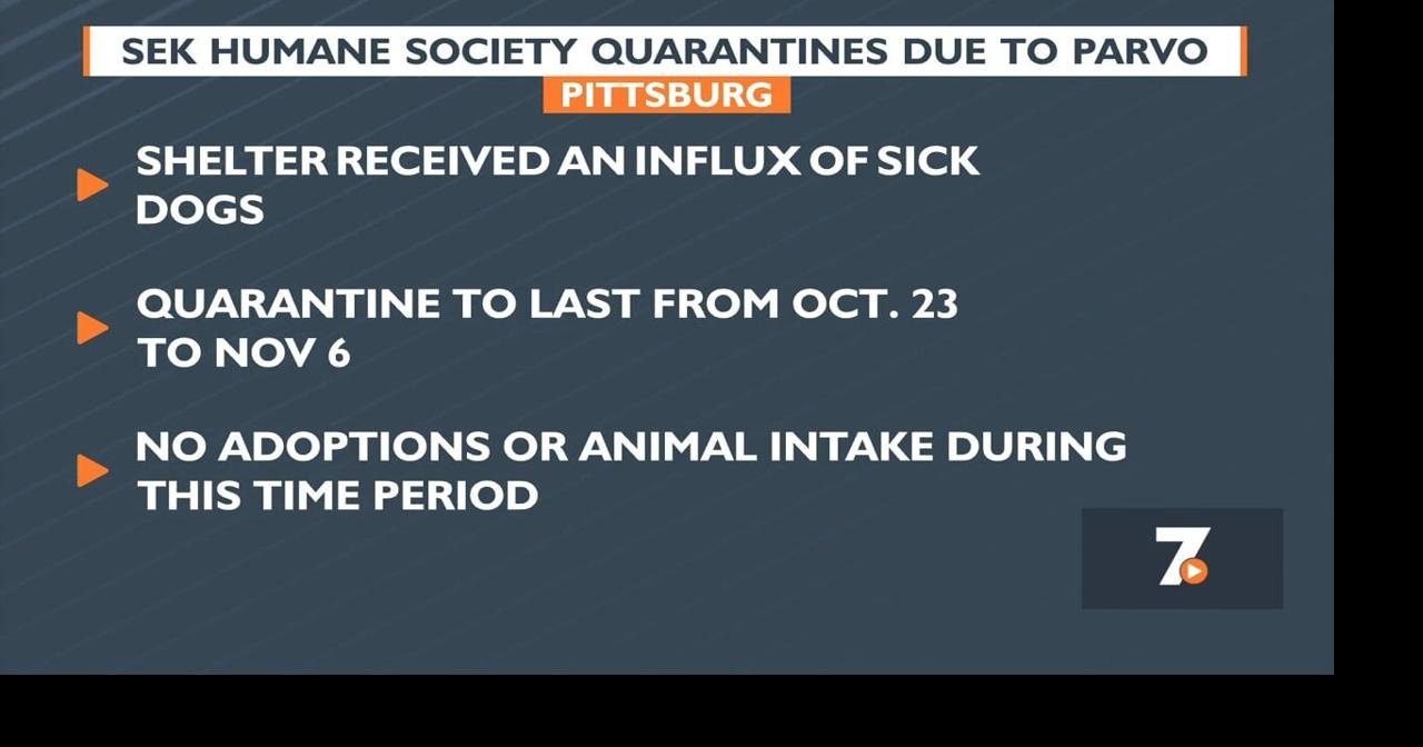 SEK Humane Society under quarantine due to PARVO outbreak | Family ...