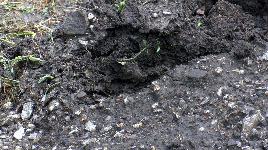 Volunteers work with archaeologists to dig up local history | Kansas ...
