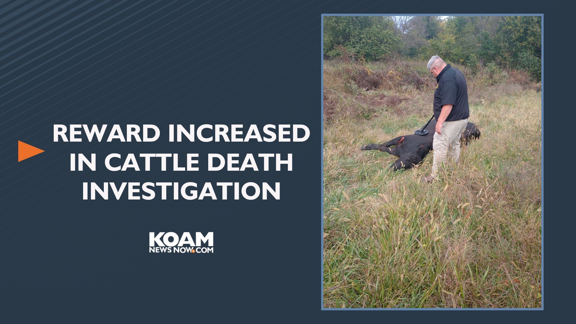Increased reward of $15,000 offered in cattle death case | Crime ...