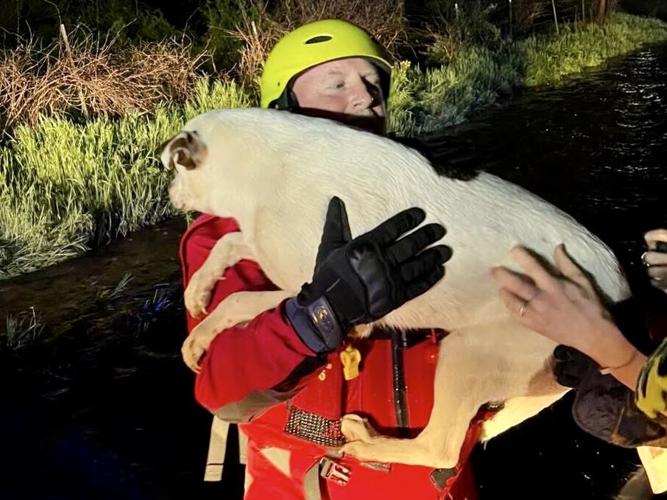3 people and a dog rescued by Barry County Swiftwater Rescue | Joplin ...