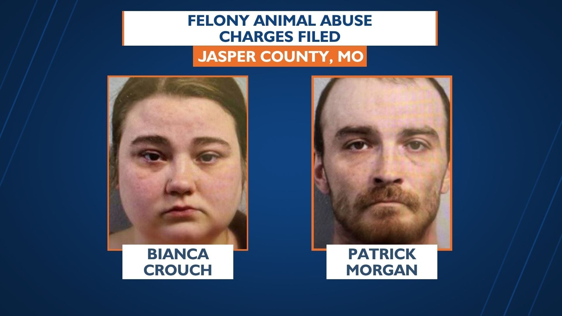 Jasper County residents face felony animal abuse charges | Crime ...