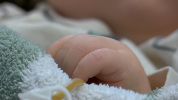 Governor Laura Kelly signs Benny's Bill into law | Kansas News ...