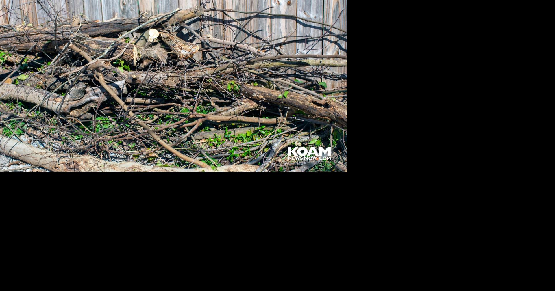 City of Joplin to offer free curbside pickup of storm tree debris ...