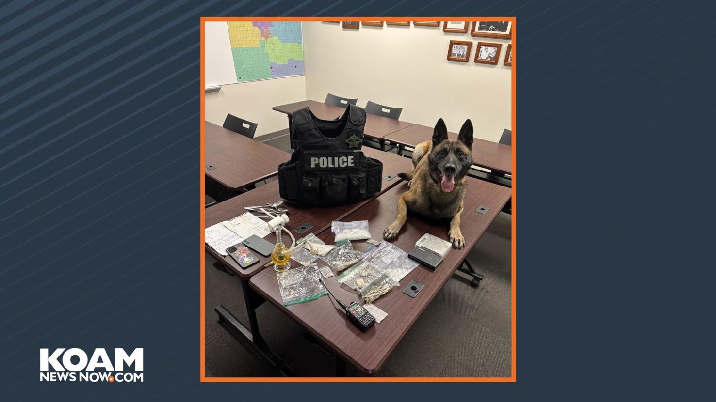 Two arrested in Nevada drug search, 160g meth seized | Crime ...