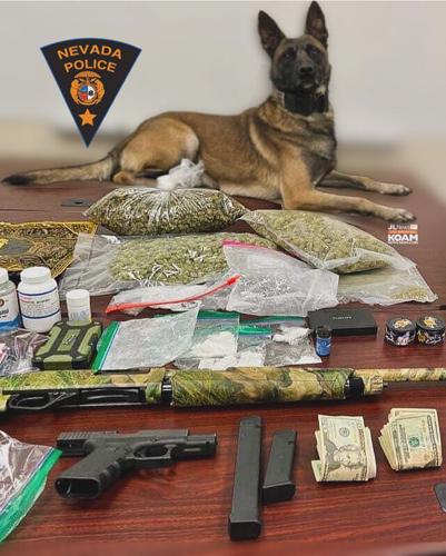 K9 Edo assists in narcotics and weapons seizure | Joplin News First ...