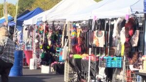 The 39th Annual Pelican Festival in Grove, Ok | Events | koamnewsnow.com