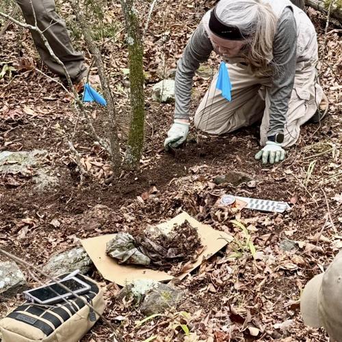 Human remains found by deer hunter near Lake Tenkiller | Joplin News ...