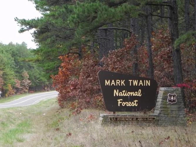 700-acre Math Branch Fire, 70% contained in Mark Twain Forest | Joplin ...