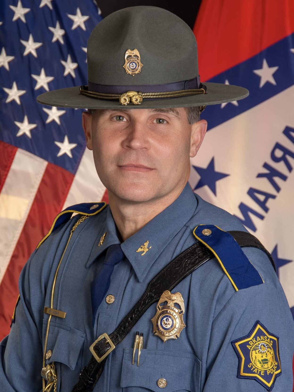 Trooper attempts to remove goose family from interstate, kills two ...