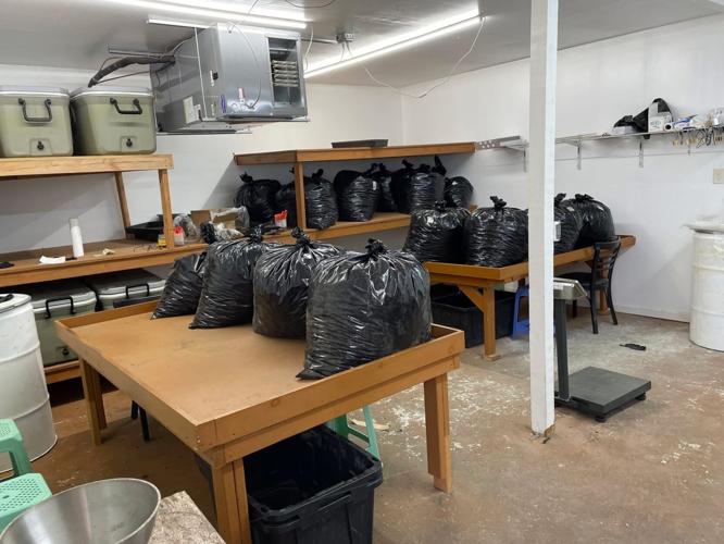Growing operations raided in Ottawa County, 700-pounds of marijuana ...