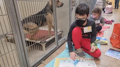 Joplin Humane Society hosts Shelter Pals event | Lifestyle ...