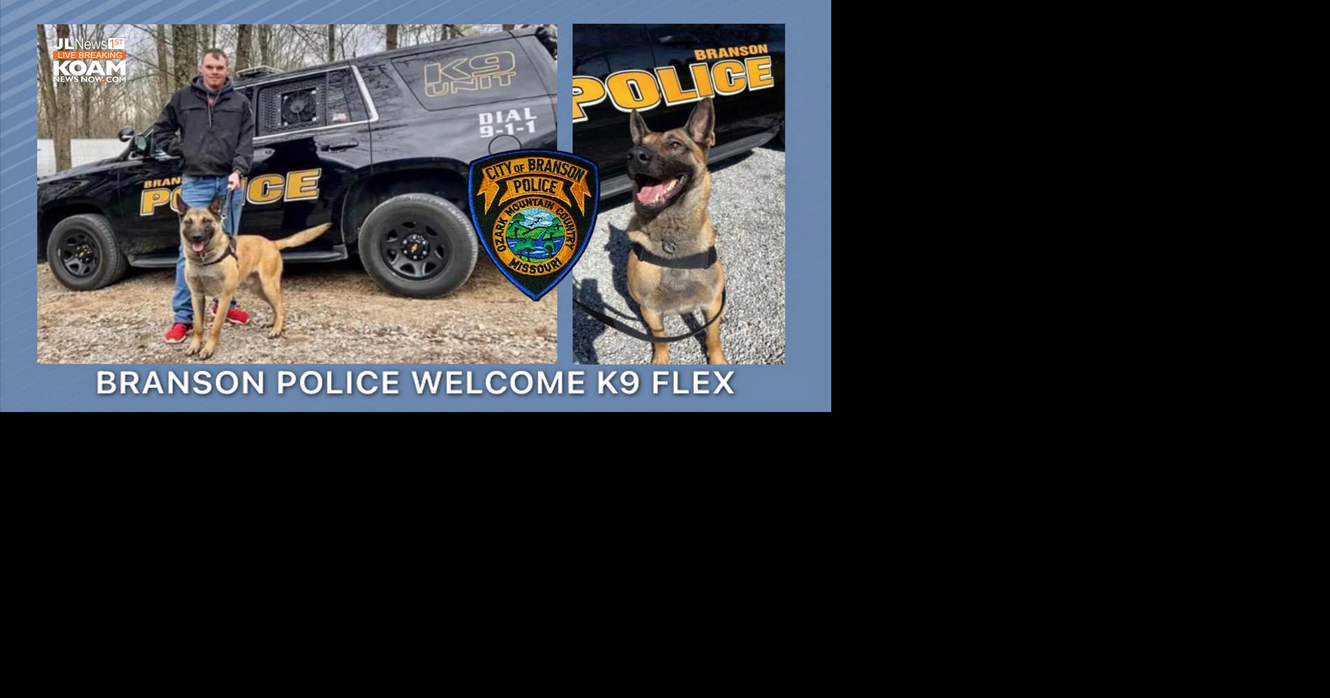 Branson Police Dept welcome new K9 Flex | Joplin News First ...