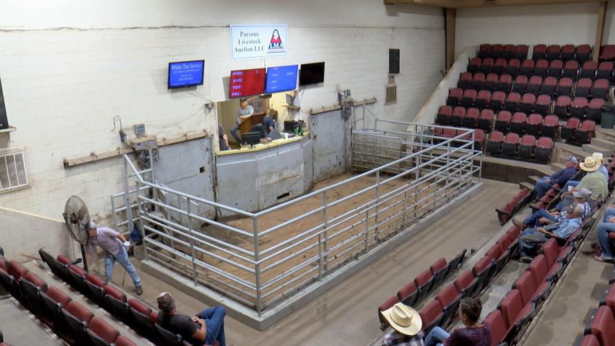 Kansas Auctioneer Places Top Ten in World Livestock Auctioneer ...