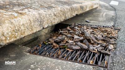 How can you help reduce stormwater runoff? Here's a few simple home ...