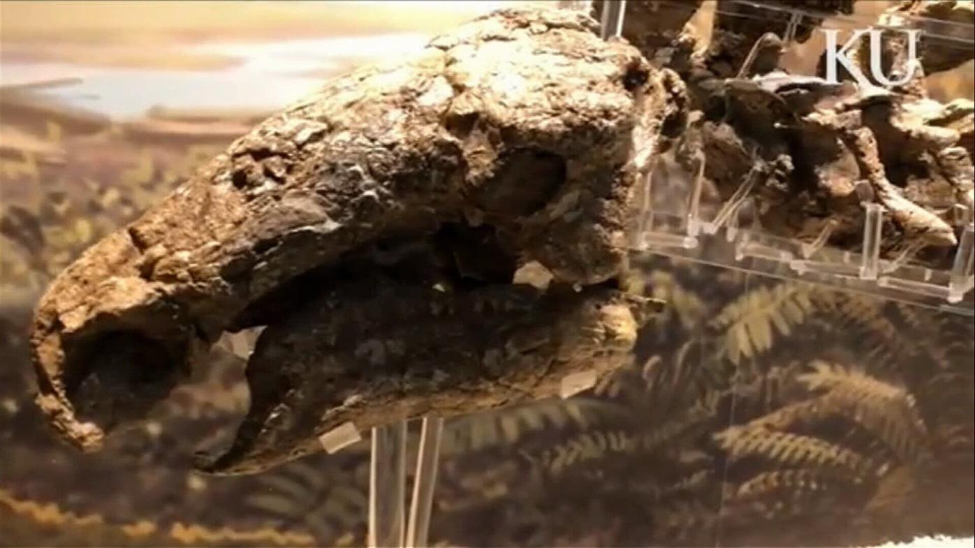 frozen dinosaur found