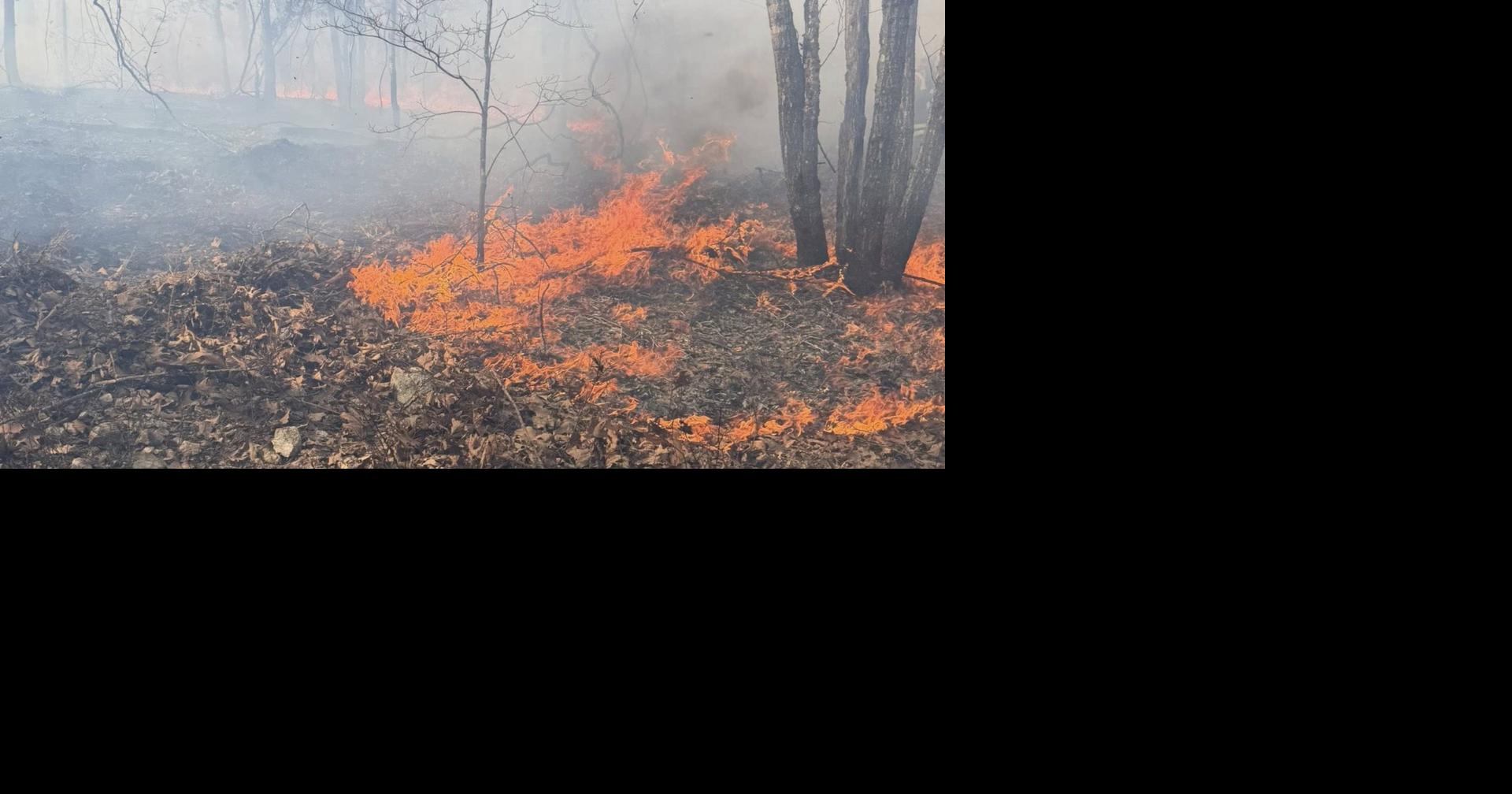 Authorities seeking info on 65-acre fire in Huckleberry Forest | Local ...