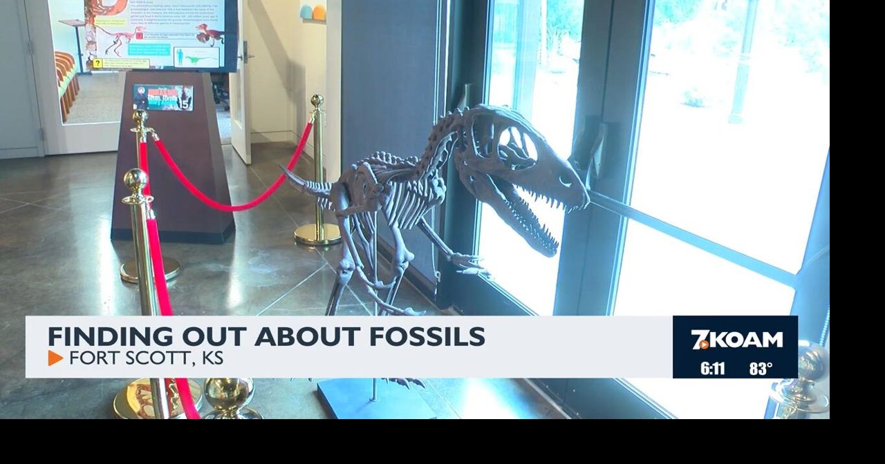 Fort Scott exhibit highlights pioneering fossil hunter Mary Anning ...