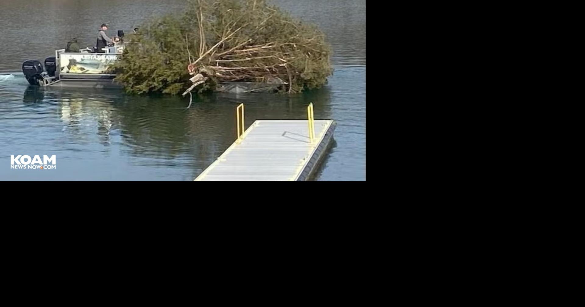 MDC enhances fish habitat at Stockton Lake | Lifestyle | koamnewsnow.com