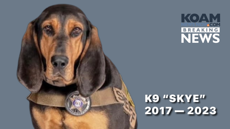 Jasper County K9 “Skye” suddenly dies | News | koamnewsnow.com