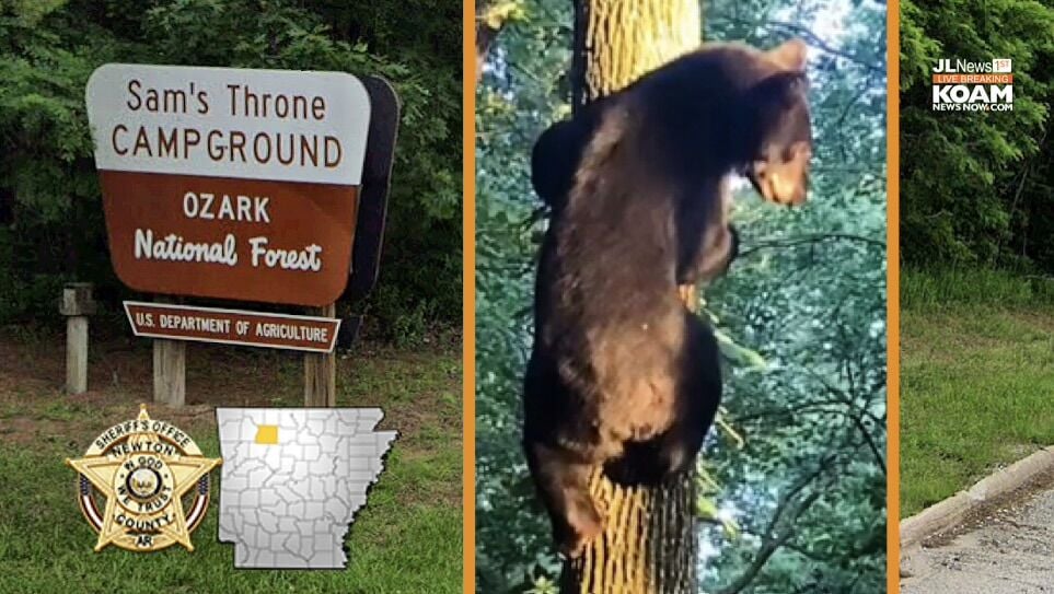 Missouri man’s death at Arkansas campground most likely bear attack ...