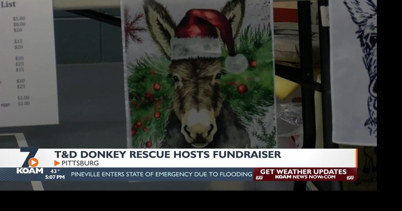 T&D Donkey Rescue hosts fundraiser | News | koamnewsnow.com
