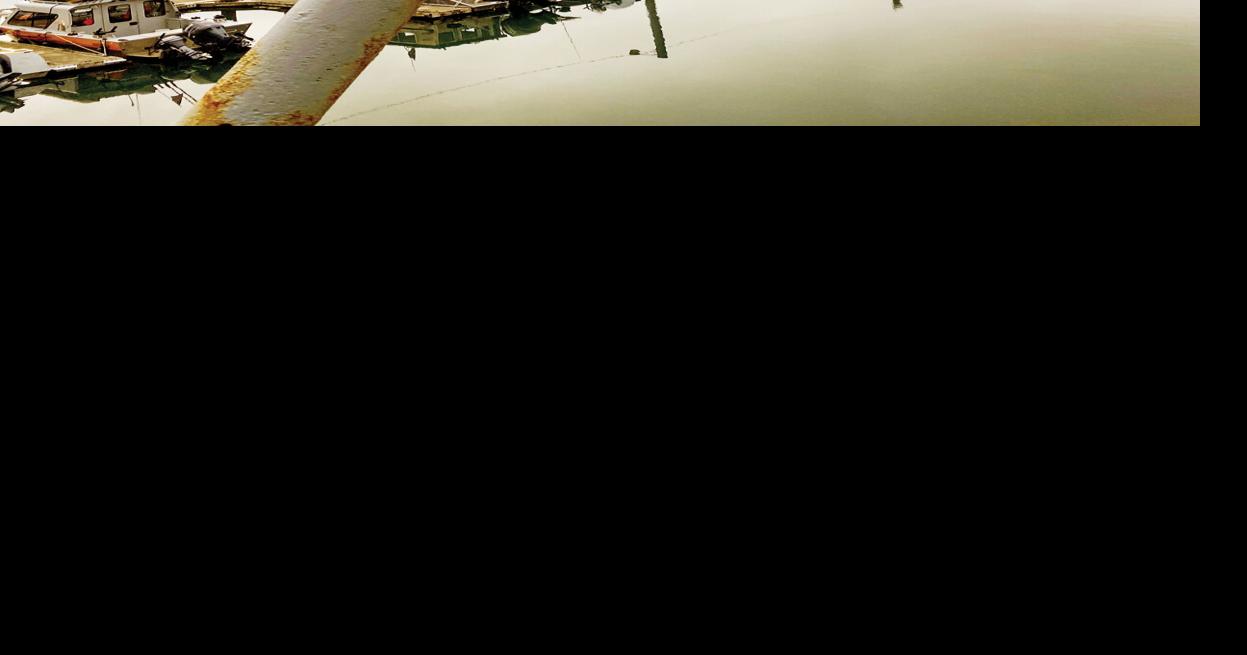 Kodiak Capture | Gallery | kodiakdailymirror.com