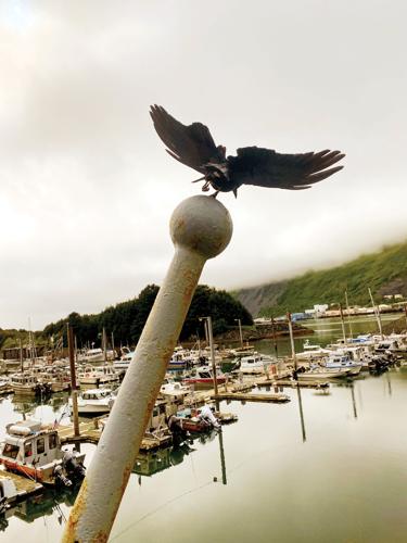 Kodiak Capture | Gallery | kodiakdailymirror.com