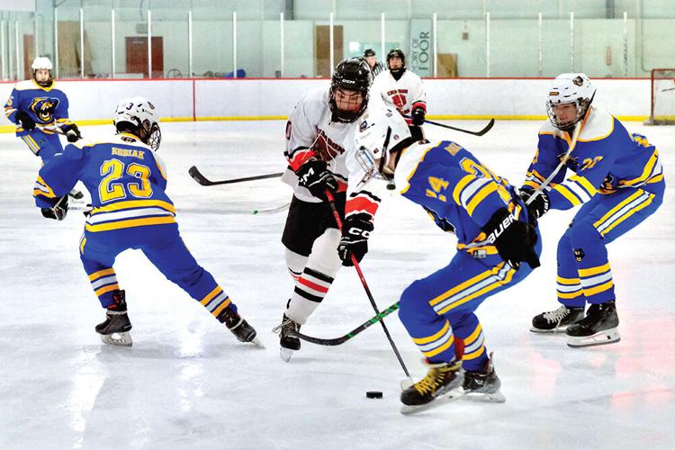 Kodiak hockey drops two conference games to Juneau | Local Sports | kodiakdailymirror.com