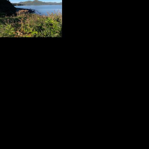 Monashka Bay | Gallery | kodiakdailymirror.com