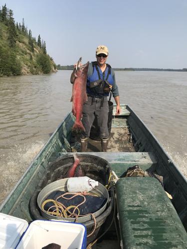 Yet another dramatic Arctic Report Card | Community | kodiakdailymirror.com