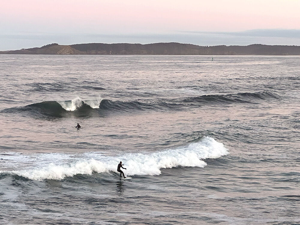 Surfs up | Gallery | kodiakdailymirror.com