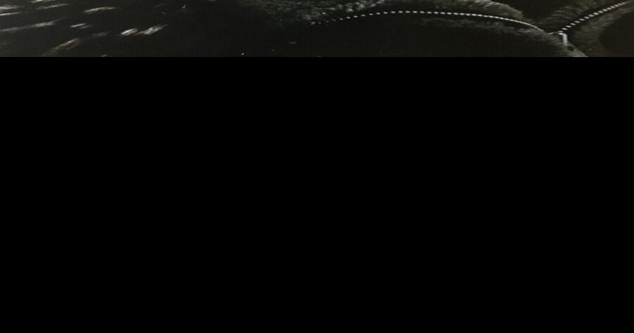 Patricia Louis Bonney | Obituaries | kodiakdailymirror.com