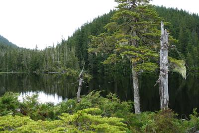 The secrets within Hummingbird Lake | Community | kodiakdailymirror.com