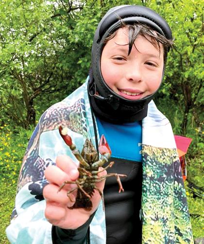 Crayfish numbers down two-thirds at Buskin Lake | Local News ...