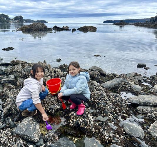 Hunting at low tide | Local News | kodiakdailymirror.com